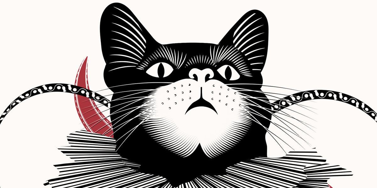 I Like This Place — Obvious State